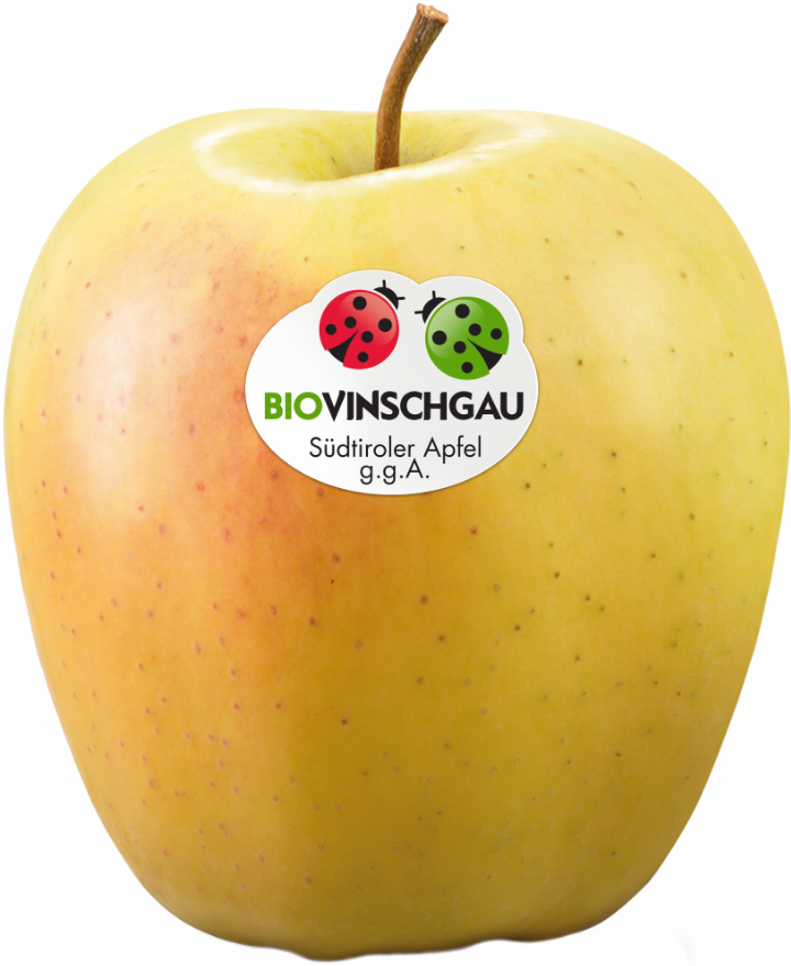 Compra Cassetta di mele Golden Delicious Bio Mele bio della Val Venosta ...