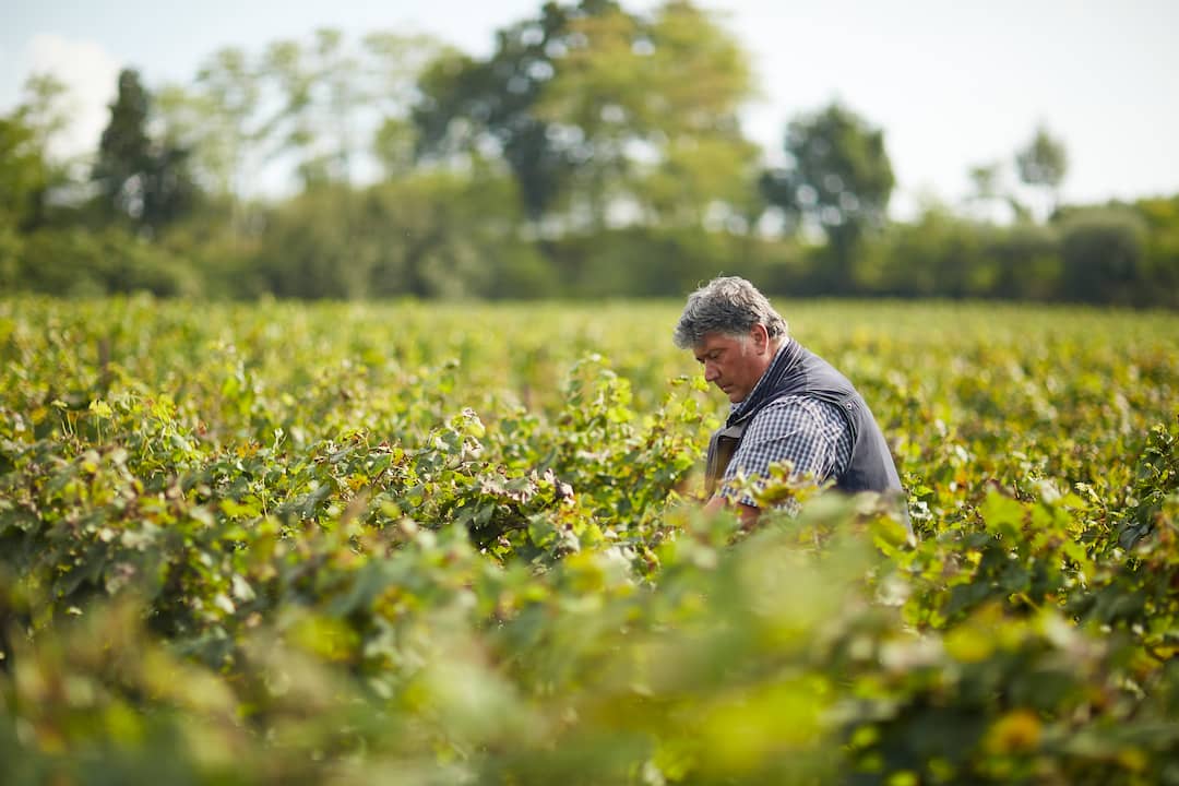Malavasi Onlineshop - Pur Südtirol®
