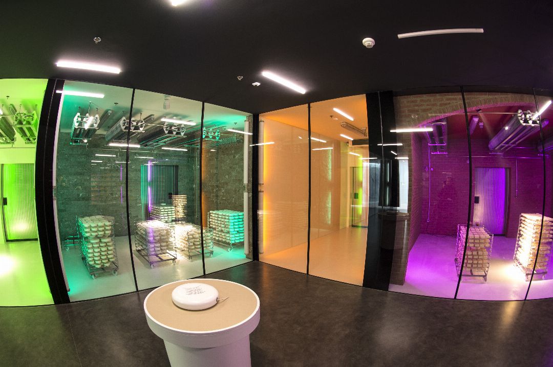 Capriz formaggi di alta quota Shop Online: Qualità dell’Alto Adige I ...