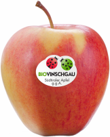 Unser Leitfaden zu den Südtiroler Apfelsorten I Pur Südtirol®